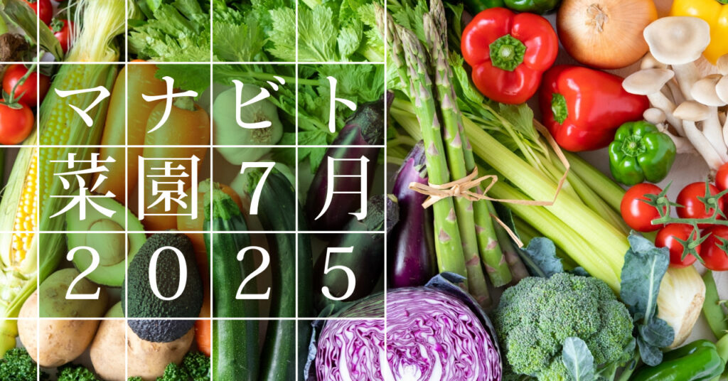 mozilla FirefoxでXULRunnerエラーがでたときの対処法 - マナビト